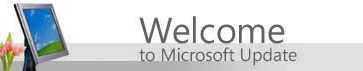 Microsoft Update versus Windows Update - Scott Hanselman's Blog
